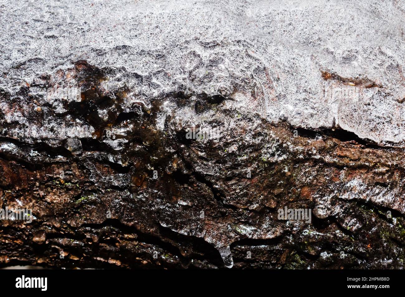 Close up photo of frozen wood log covered in ice surface texture ...