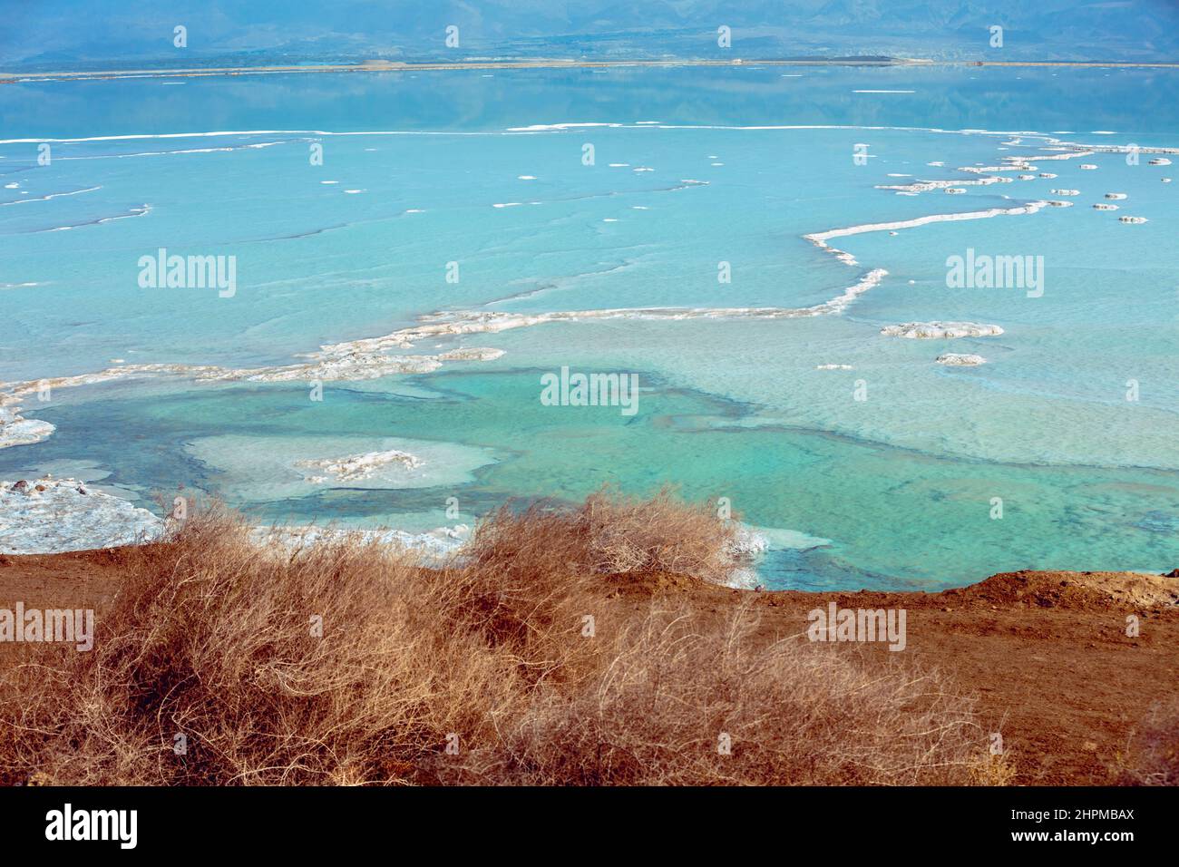 The texture of the Dead Sea. Dry grass on the shores of the Dead Sea ...