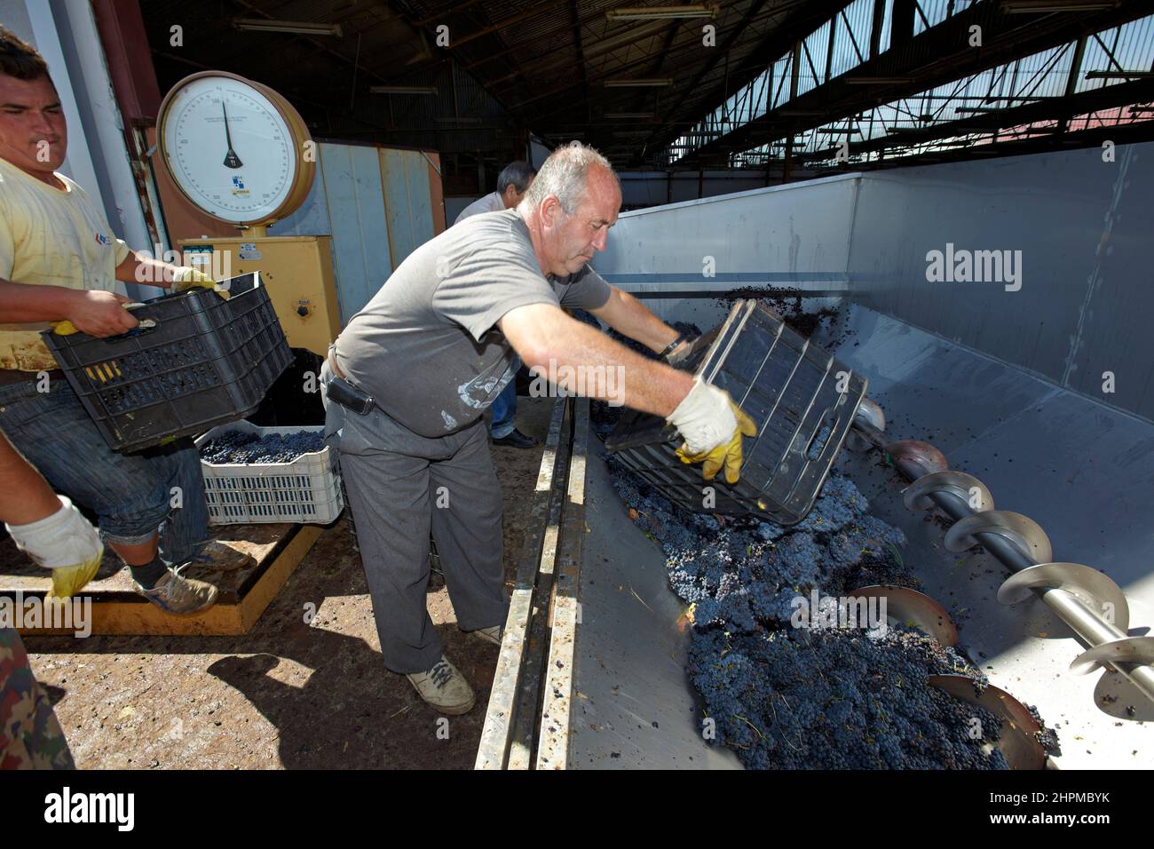 In the mountains of Kosovo near the mountain community of Budakova near ...