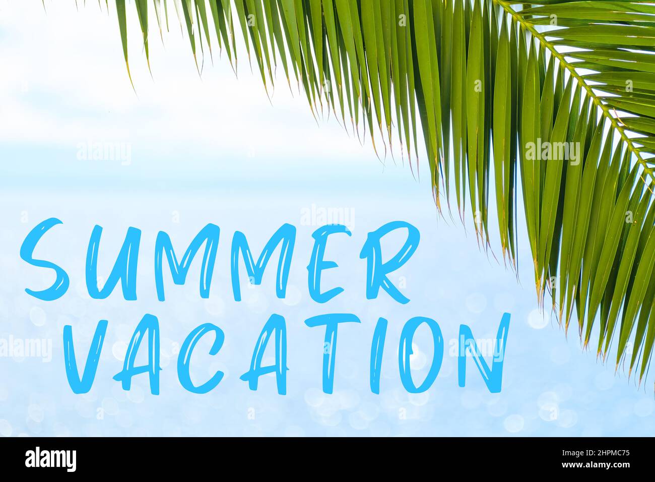 Summer vacation message written in elegant font on the background with ...