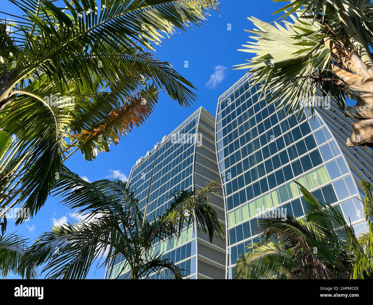 Orlando, FL USA - December 23 2021: The exterior of the Wave Hotel at ...
