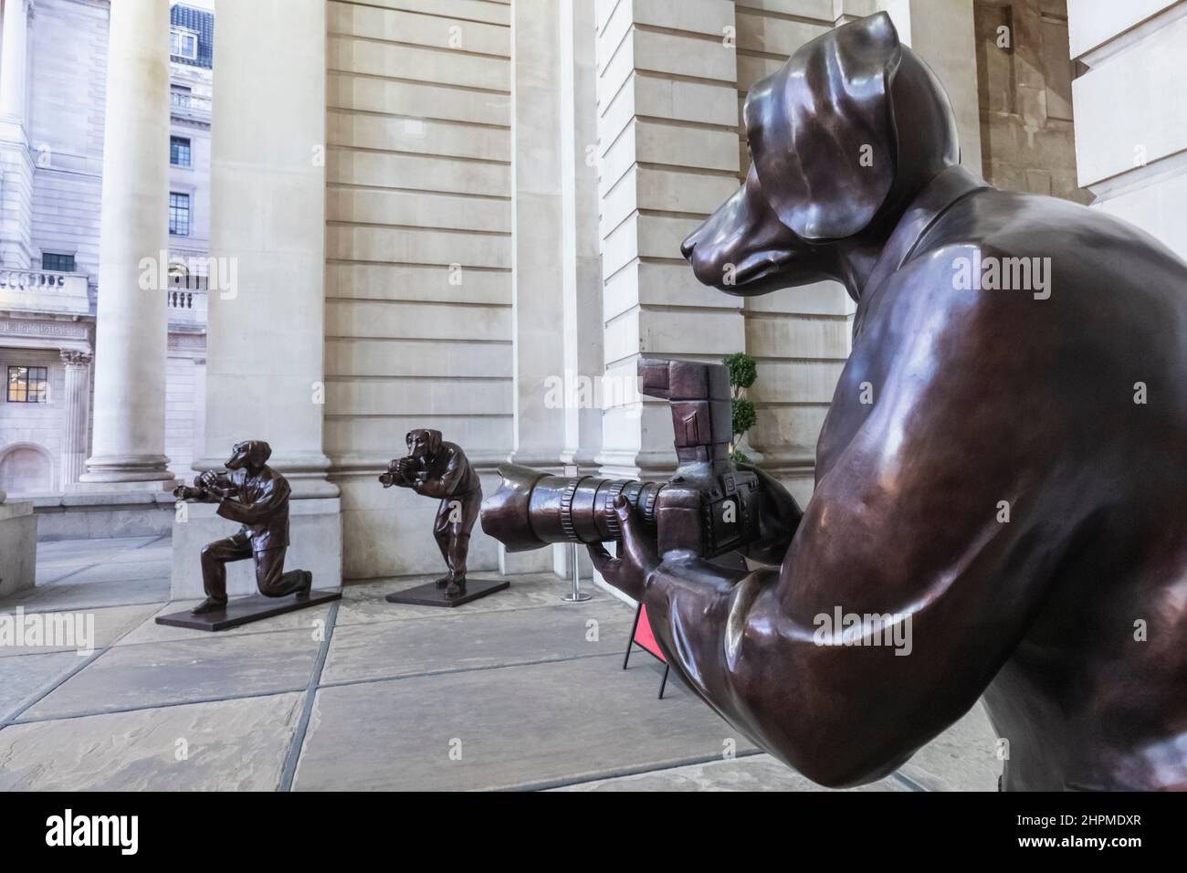 Paparazzi dogs hi-res stock photography and images - Alamy
