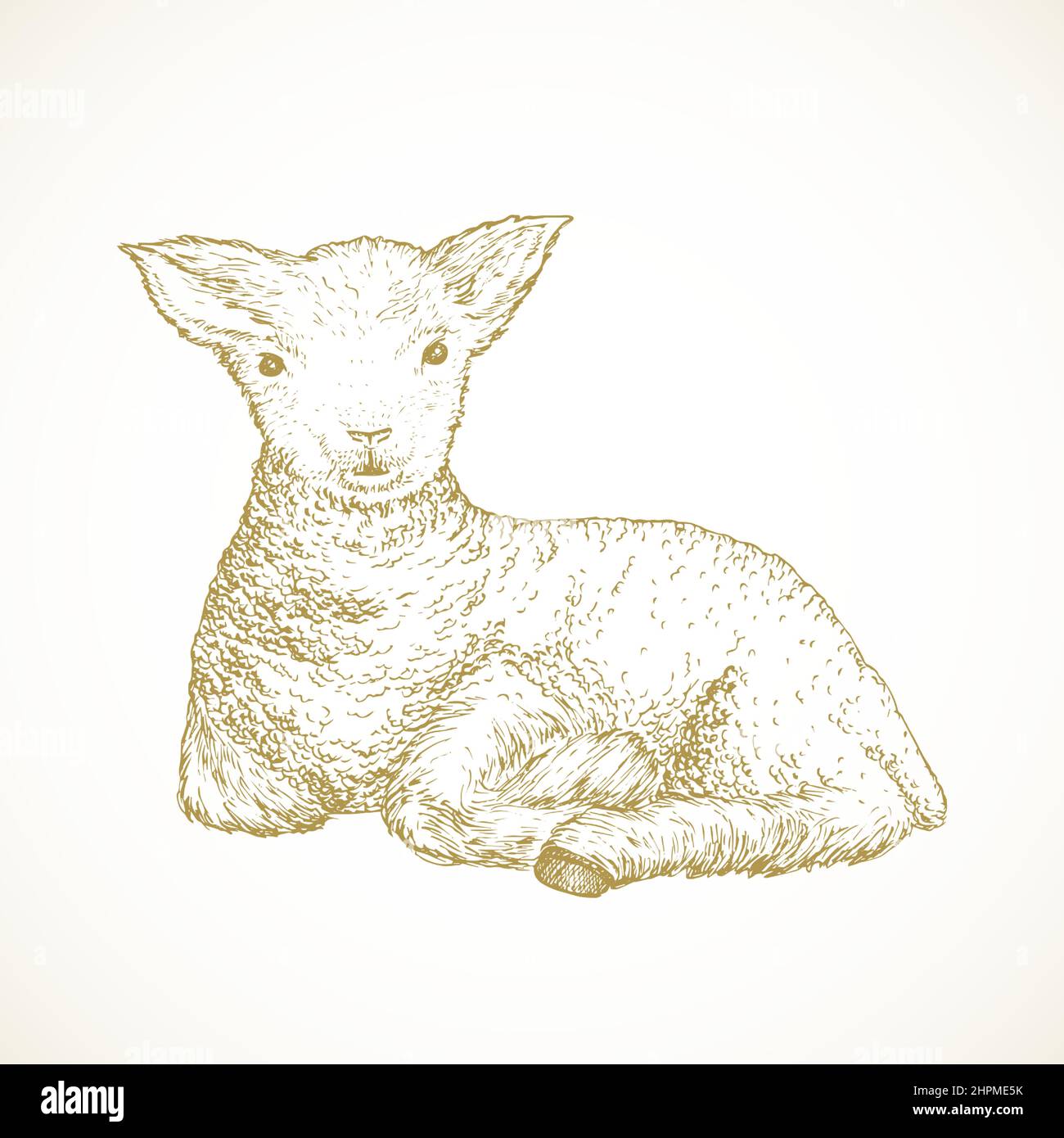 Hand Drawn Cute Easter Lamb Vector Illustration. Little Sheep Abstract ...
