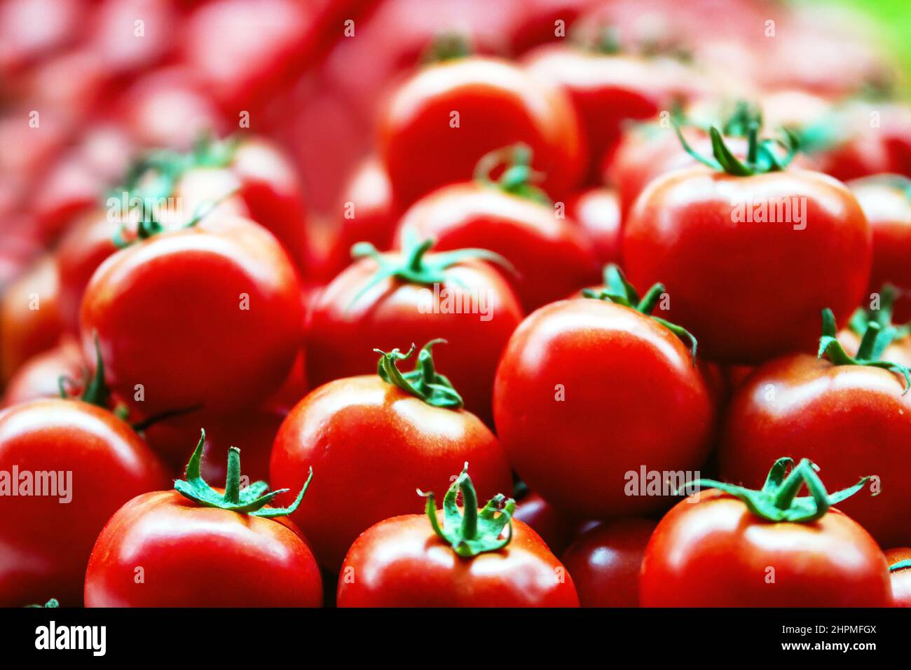 Lots of tomato hi-res stock photography and images - Alamy