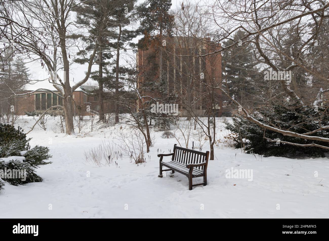 Spartan stadium michigan hi-res stock photography and images - Alamy