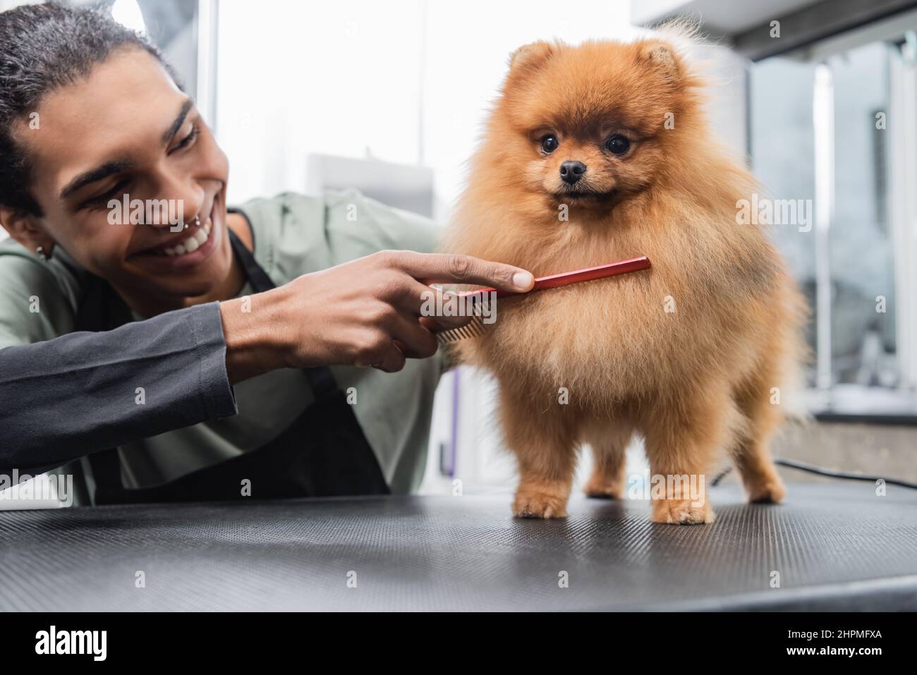 Grooming your dog african american hi-res stock photography and images ...