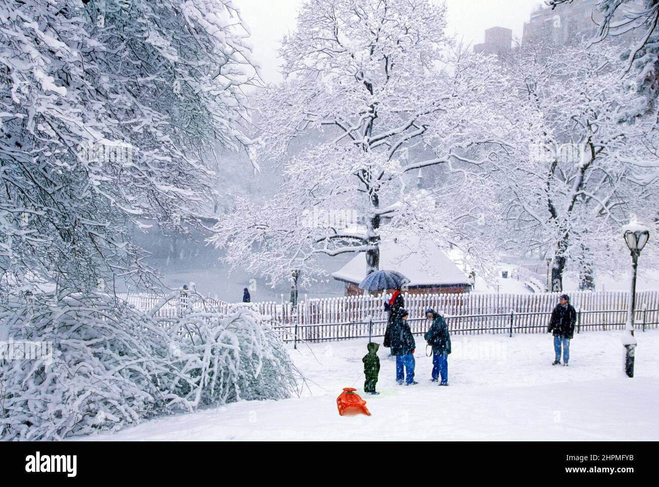 Snowfall In Central Park Weather In Central Park | Weddings In Central