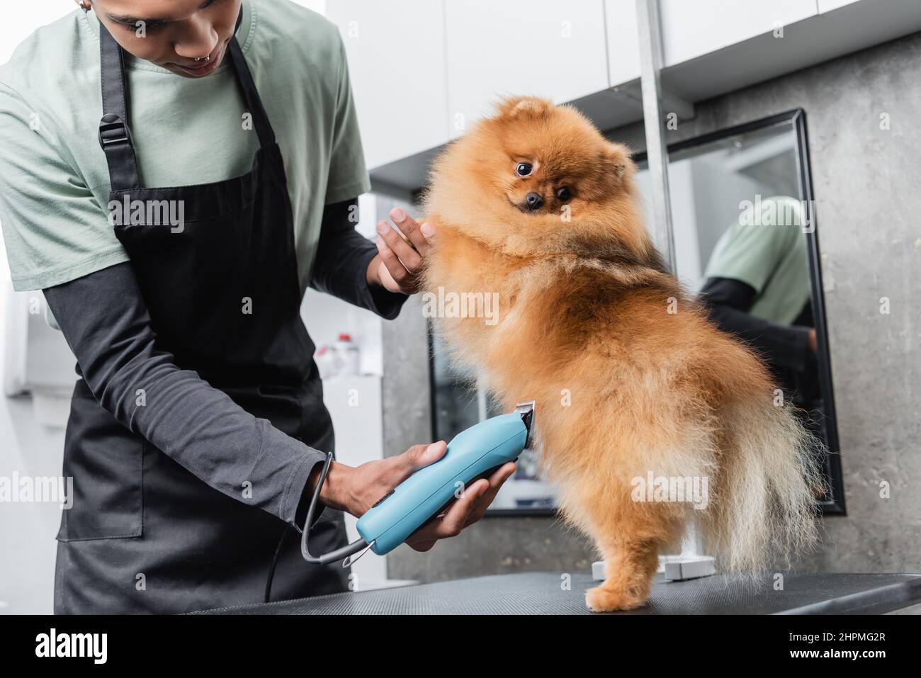 cropped view of african american groomer trimming spitz in pet salon ...