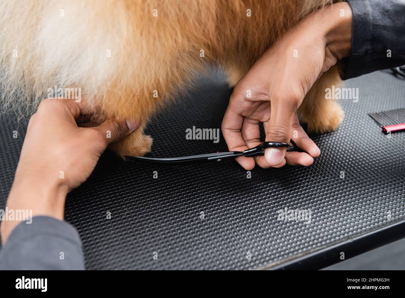 Barber pet hi-res stock photography and images - Alamy