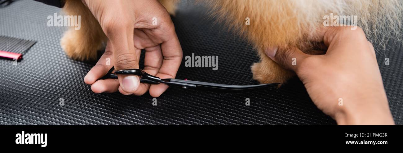 partial view of african american pet hairdresser trimming dog with ...