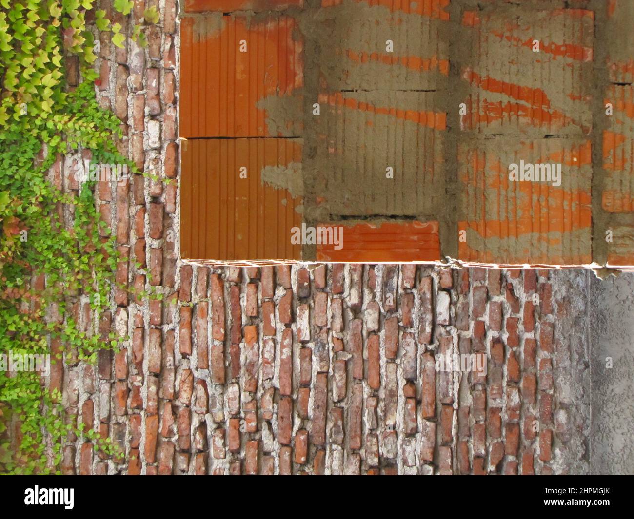 Construction of a hollow brick wall with a wall with plants in the ...