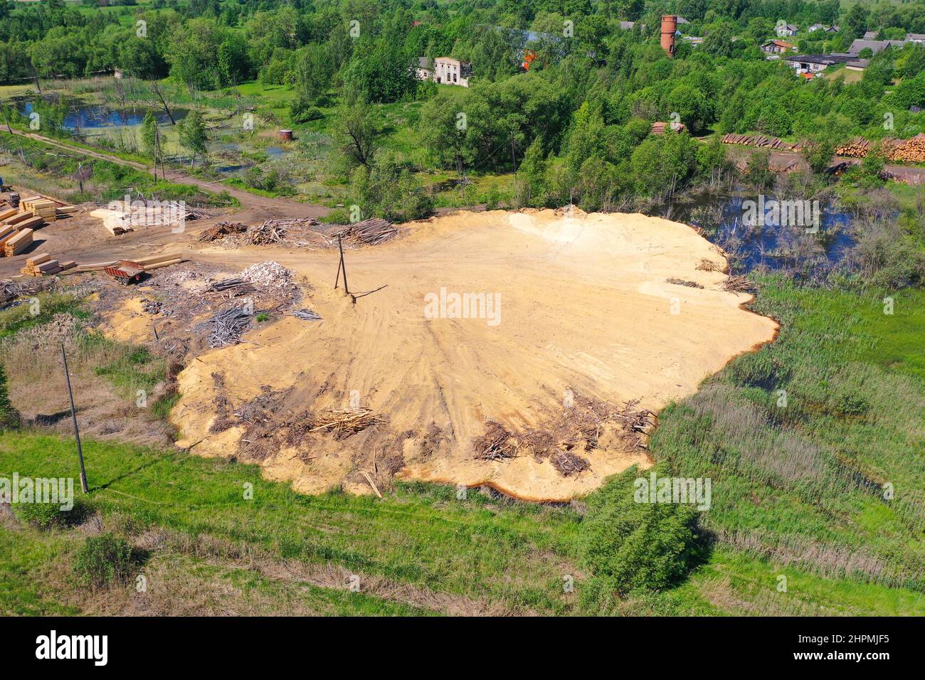 Wood sawdust on the territory of natural forest, environmental ...
