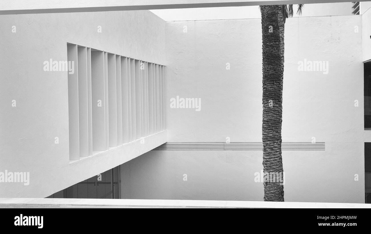 Palm trees house in Black and White Stock Photos & Images - Alamy