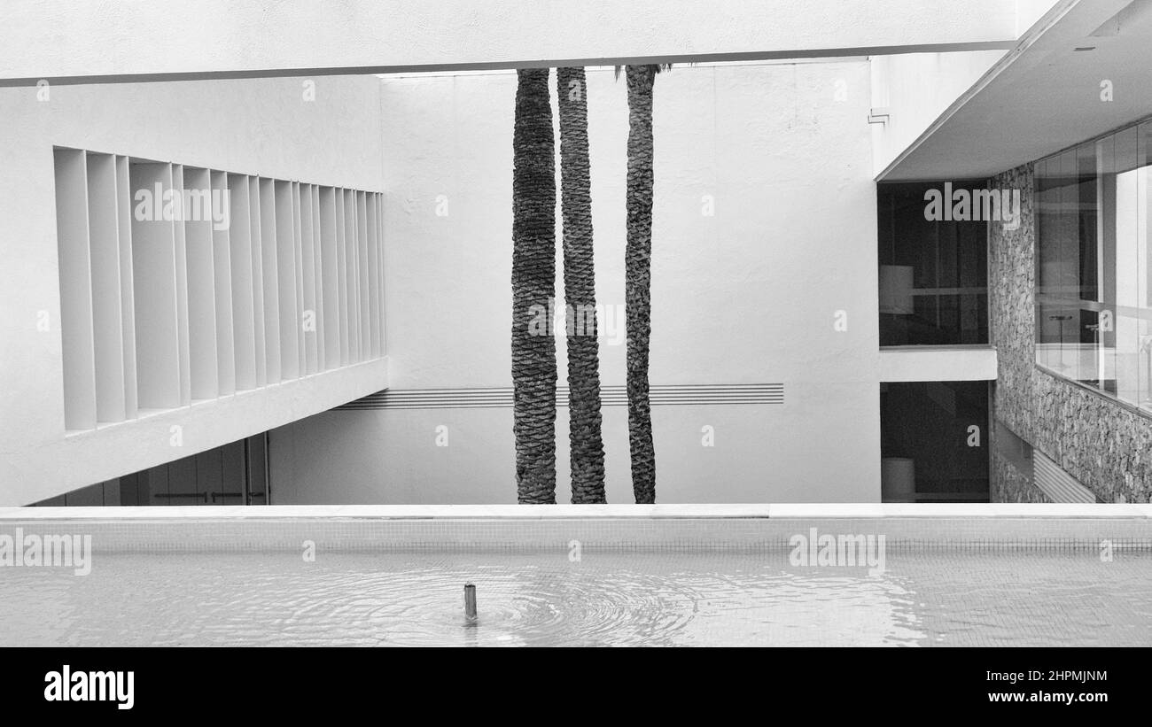 Palm trees in a contemporary building Stock Photo - Alamy