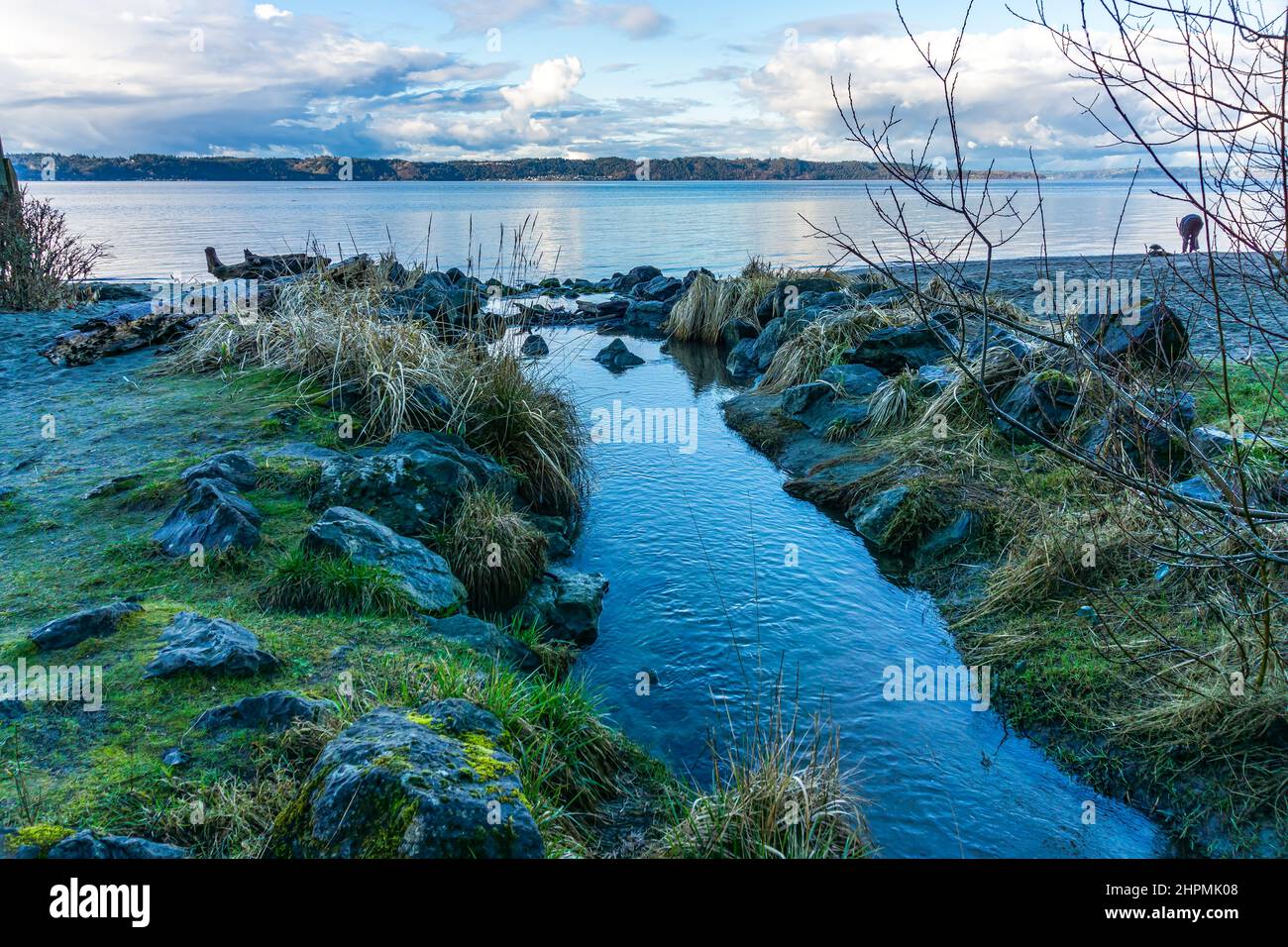 A stream flows into the ocean at Dash Point, Washington Stock Photo - Alamy