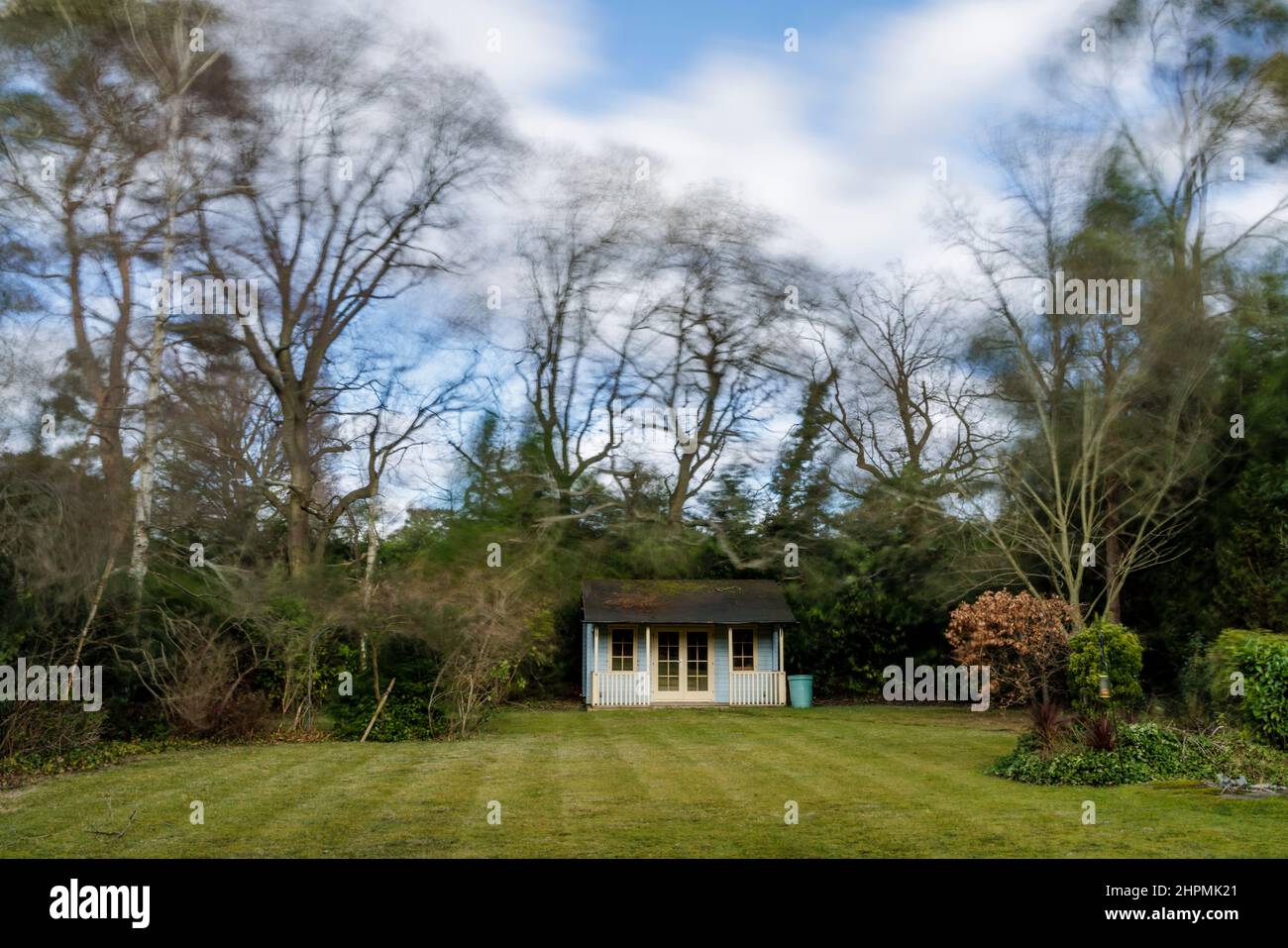 Leafless tree sways in wind hi-res stock photography and images - Alamy