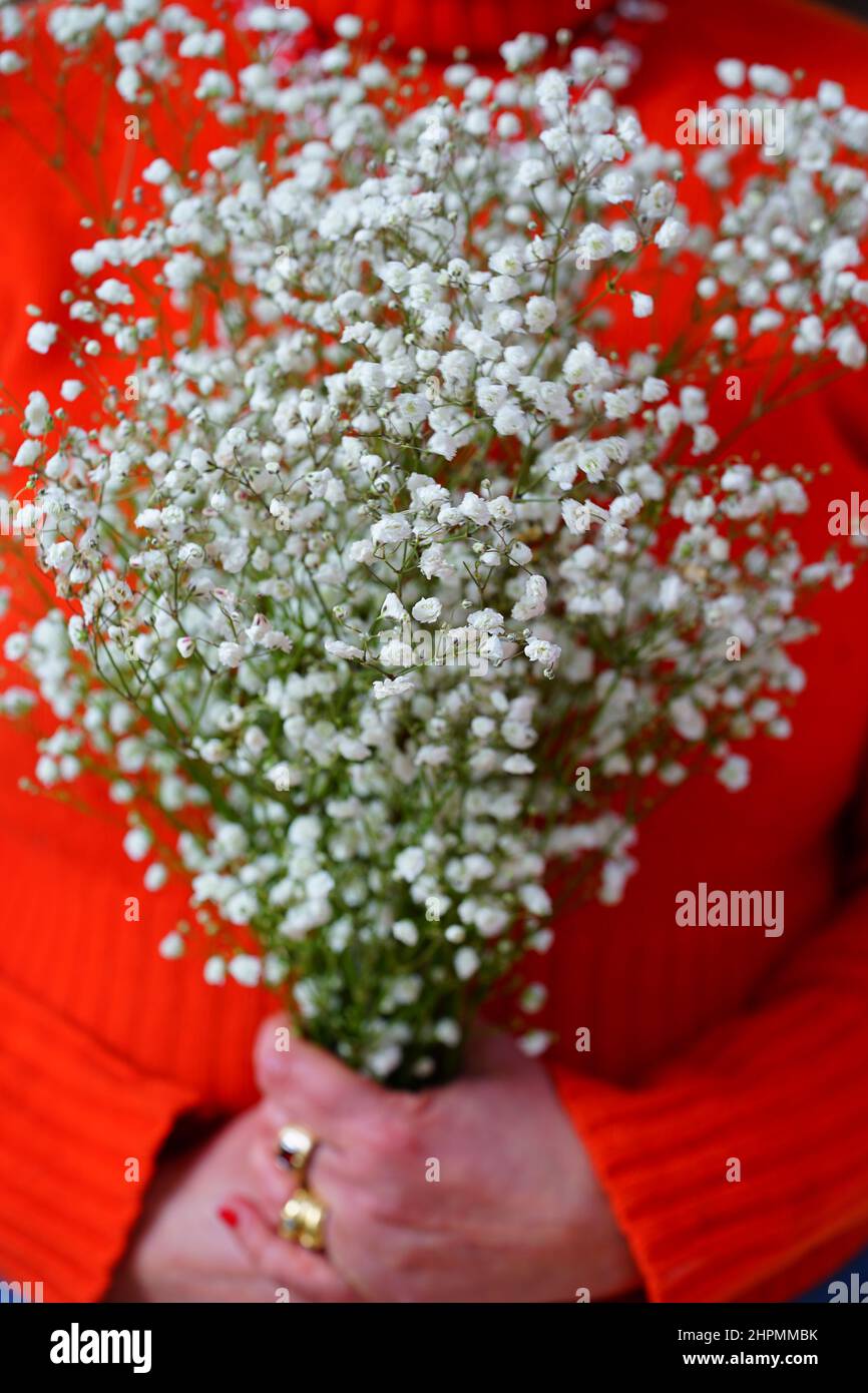 Bouquet white gypsophila babys breath hi-res stock photography and ...