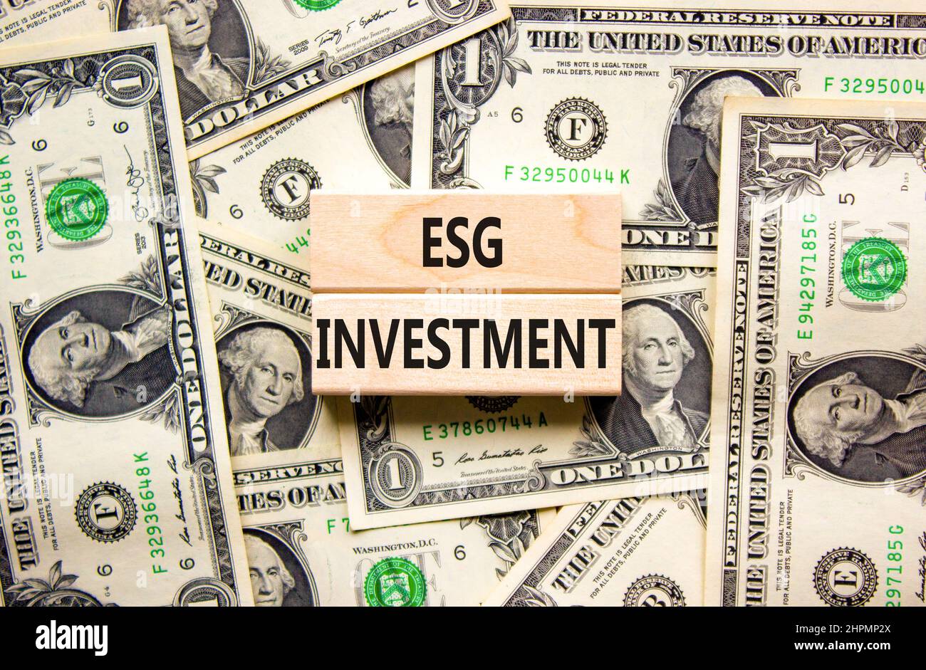 ESG environmental social governance investment symbol. Concept words ...