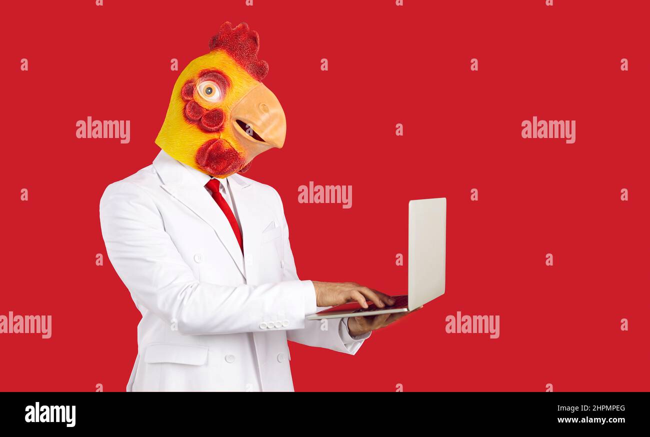 Funny crazy man in suit and chicken mask using laptop isolated on red ...
