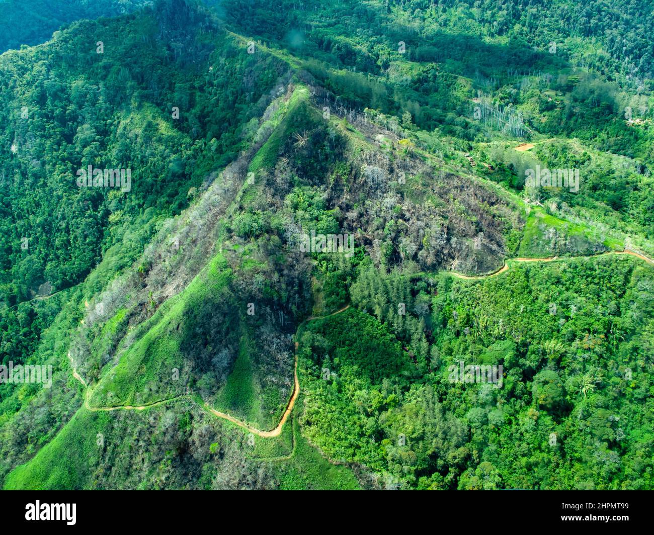 Aerial view of green mountains in Papua New Guinea. Steep slopes show ...