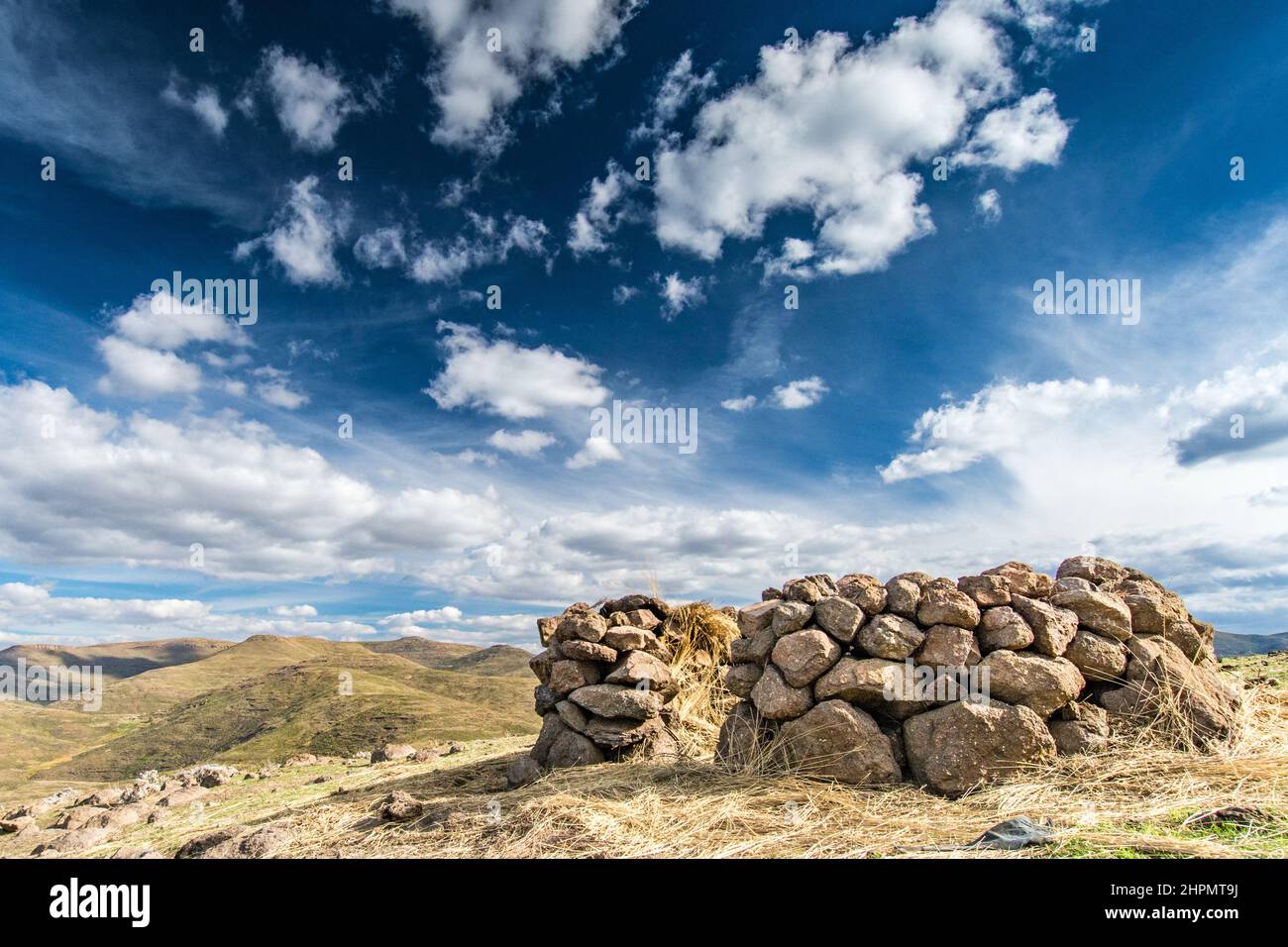Shepherd lesotho sheep hi-res stock photography and images - Alamy