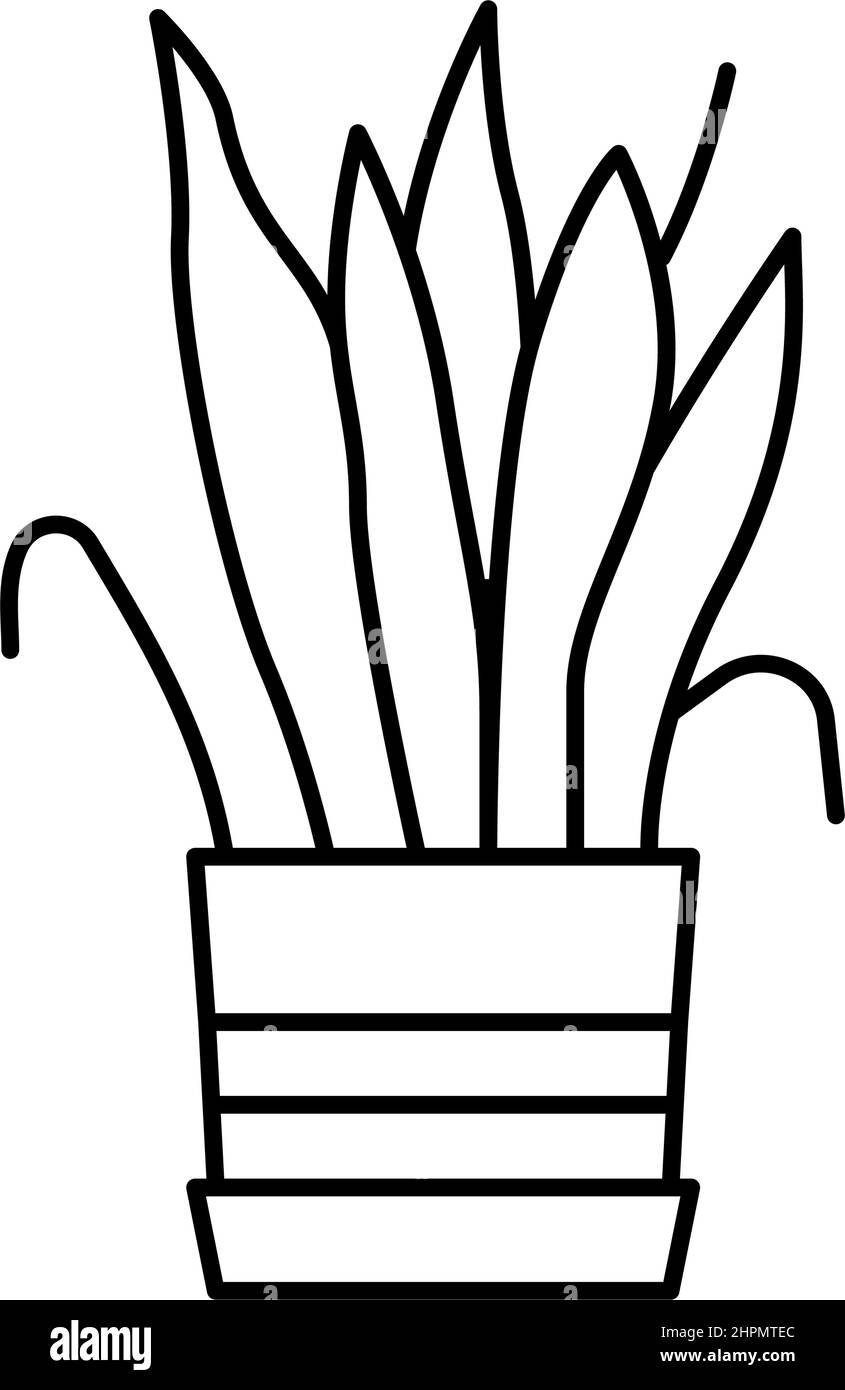 drying house plant line icon vector illustration Stock Vector Image ...