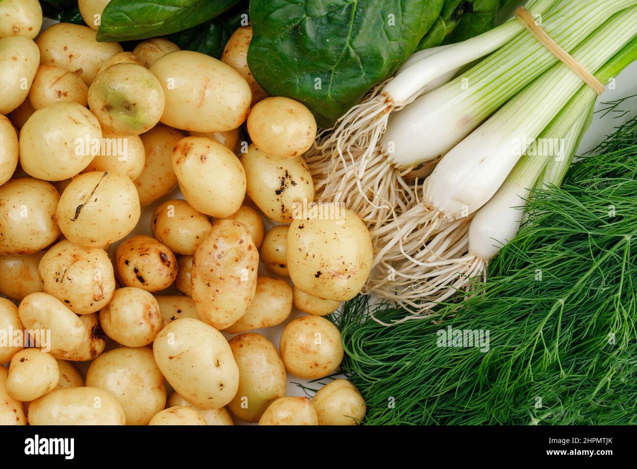 Root vegetables farm hi-res stock photography and images - Alamy