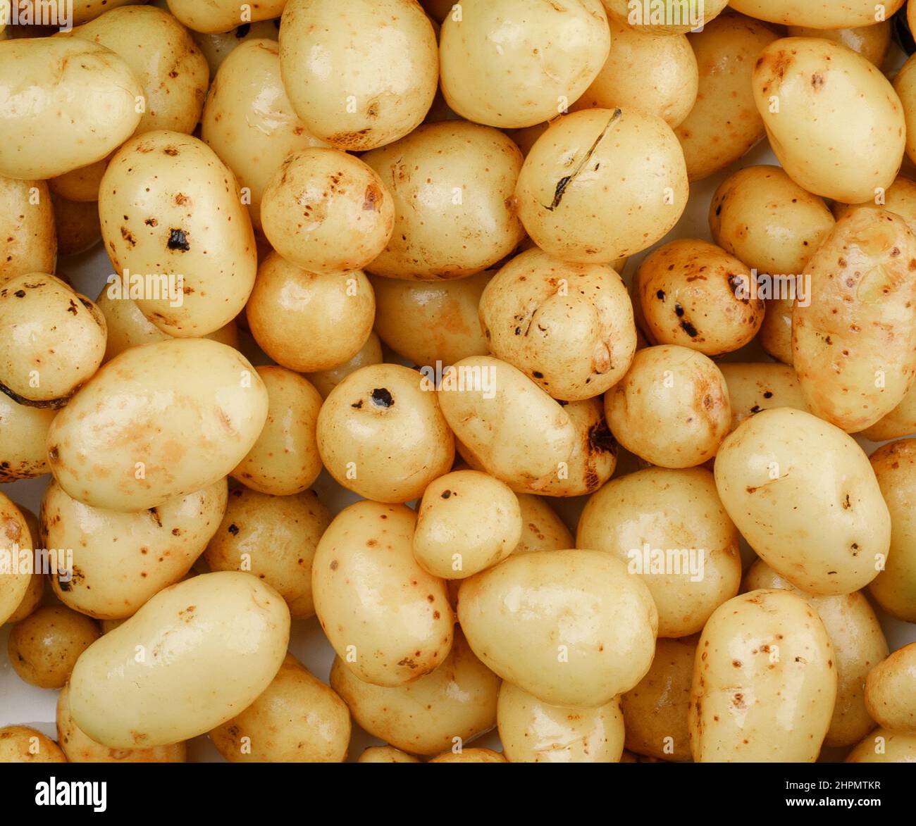 Clean vegetable hi-res stock photography and images - Alamy