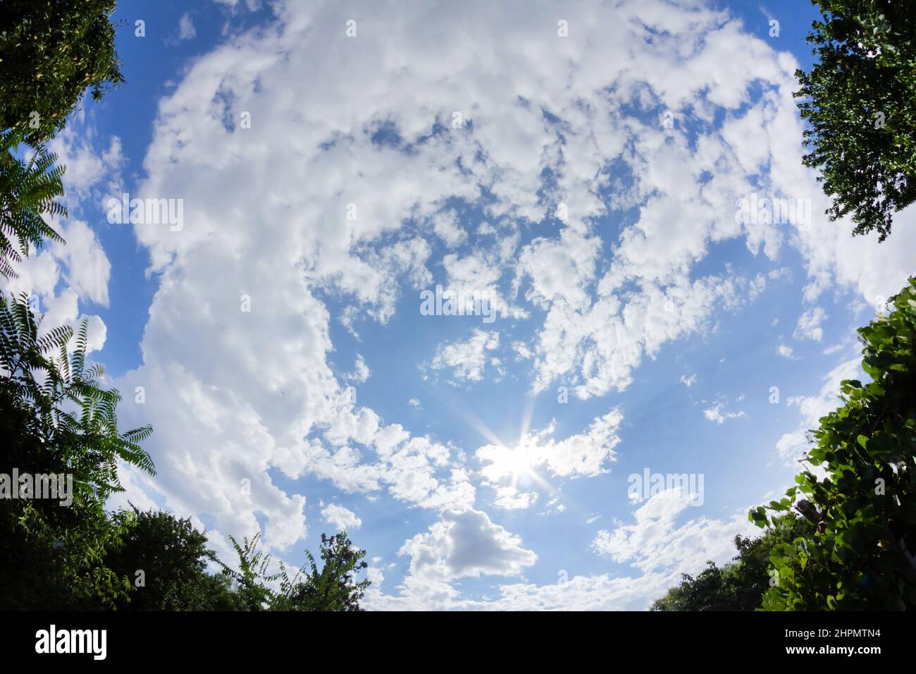 Fish eye nature photo of sunny day fluffy clouds with trees on blue sky ...