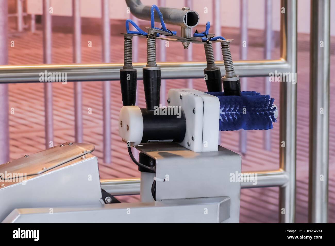 Teat brush system for stimulate, clean, disinfect cow udder at farm ...