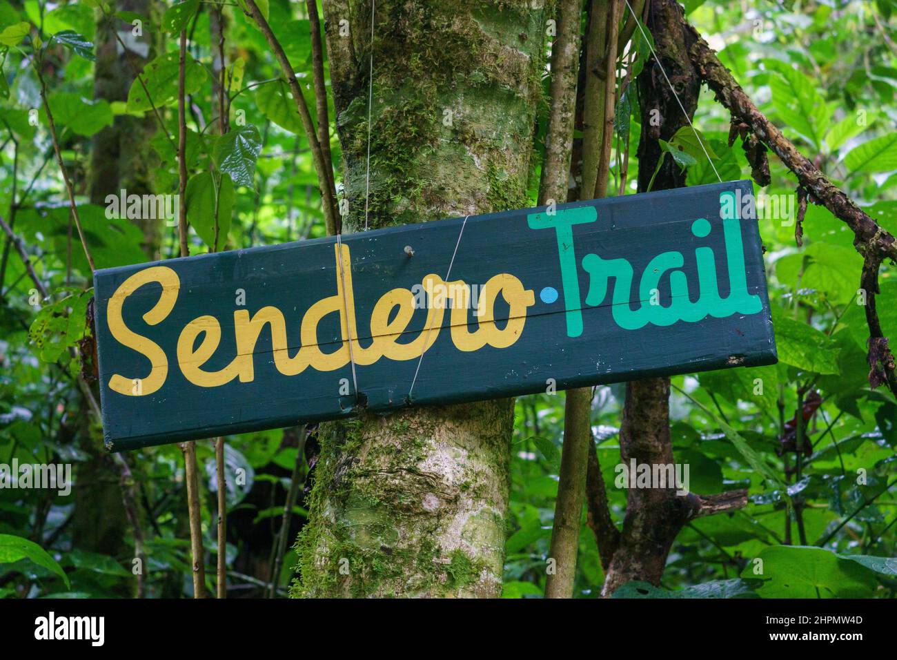 Sendero trail sign nailed to the trunk of a tree in Boquete Panama ...