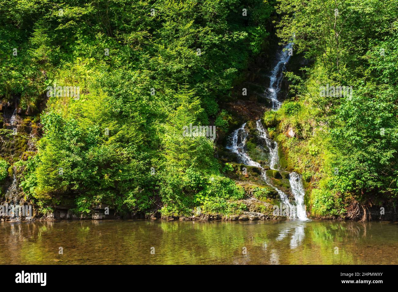 small waterfall stream in the forest. refreshing scenery in summer ...