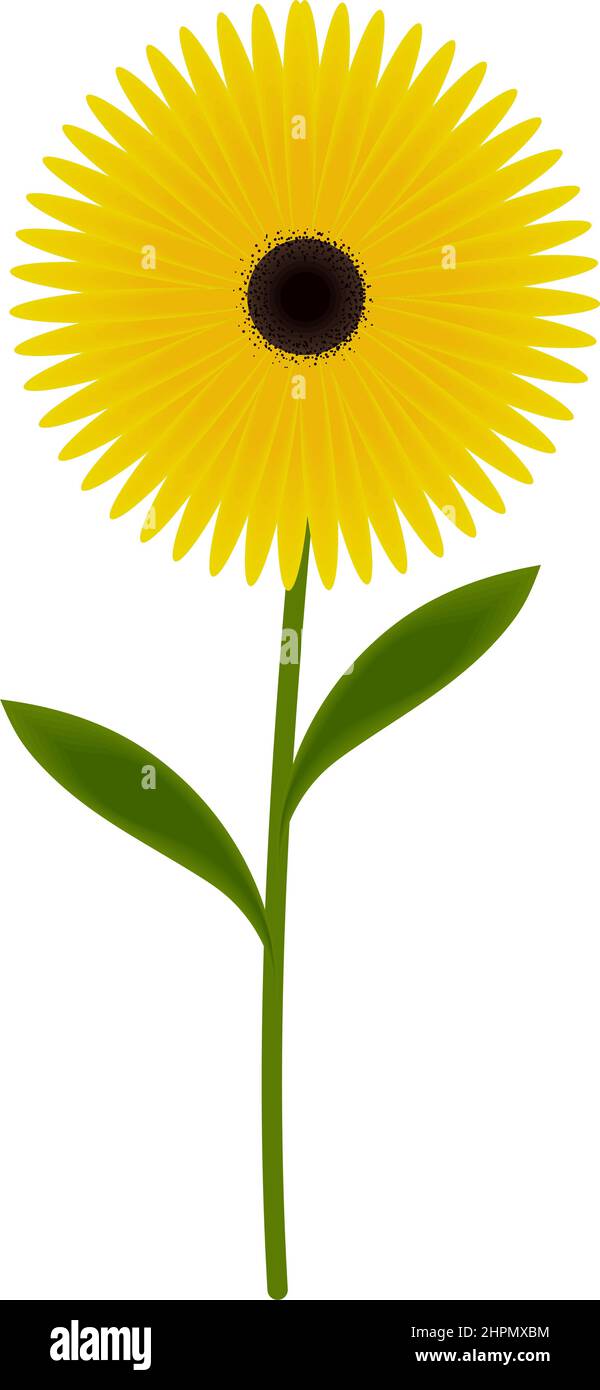 flower decoration icon Stock Vector Image & Art - Alamy