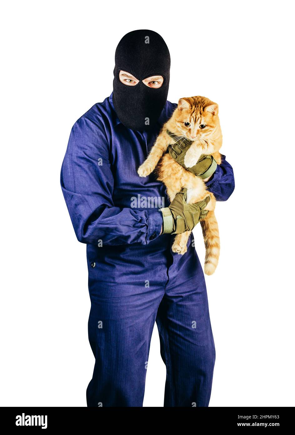 Cat Burglar Er Costume