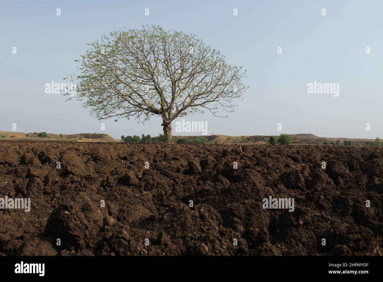 A dug up field for aggriculture. India Stock Photo - Alamy