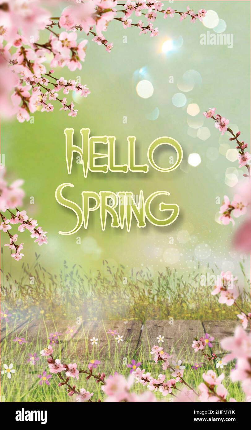Hello spring background with flowers and butterflies Stock Photo - Alamy
