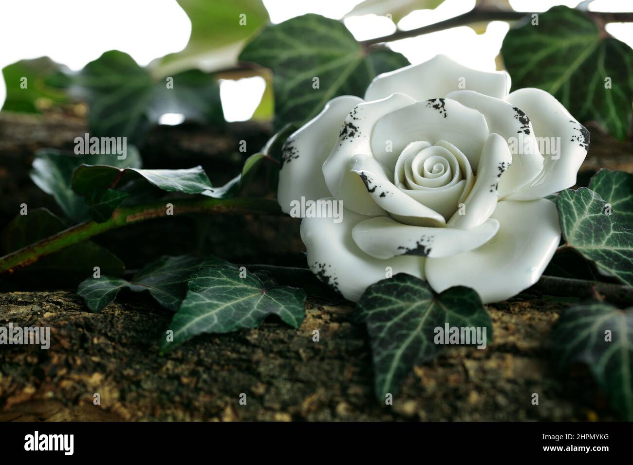 Life Everlasting Symbol