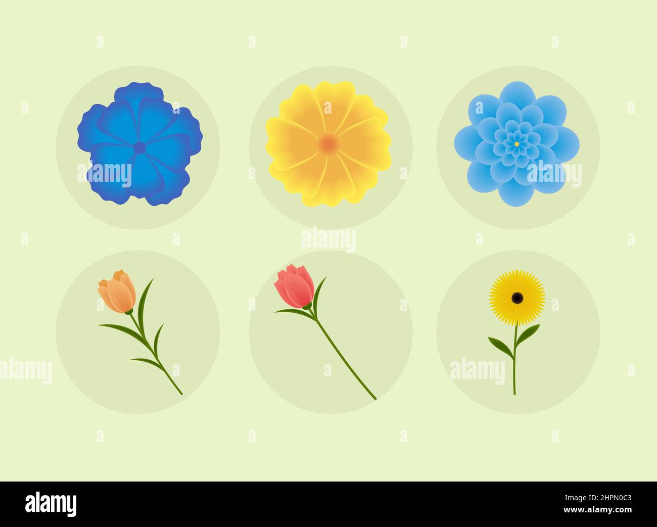 cute spring flowers Stock Vector Image & Art - Alamy
