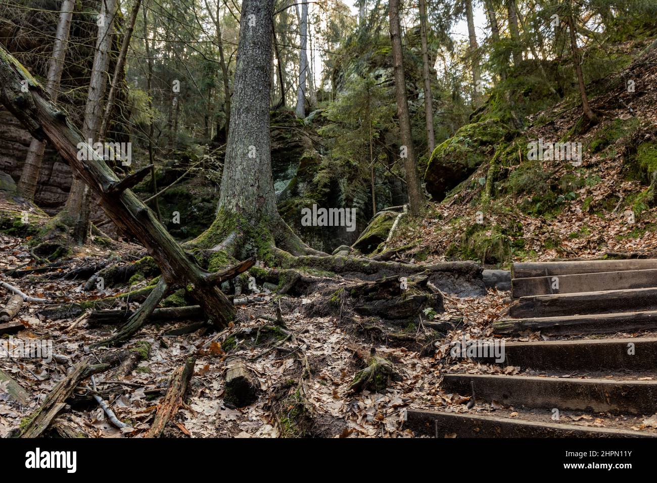 landscape called swedish holes in the Elbe sandstone mountains Stock ...