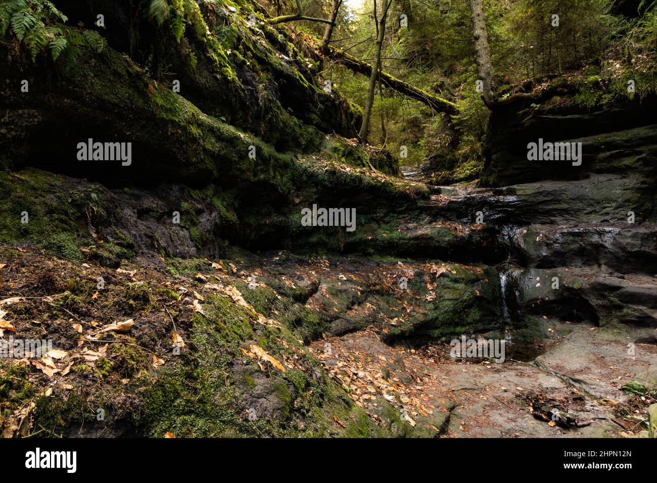 Swedish holes hi-res stock photography and images - Alamy