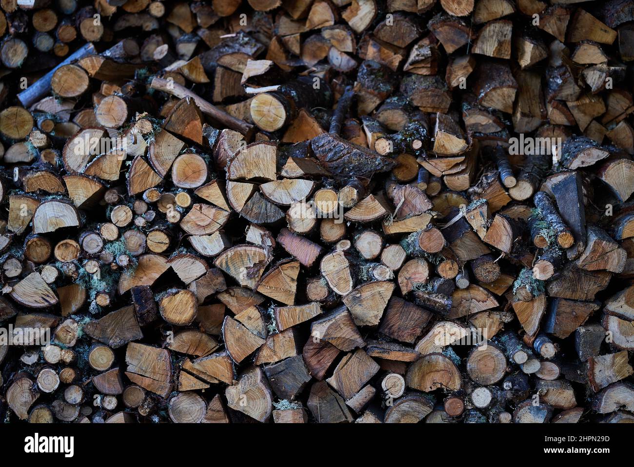 Stacked wood forming a wall in which the shapes of the logs can be seen ...