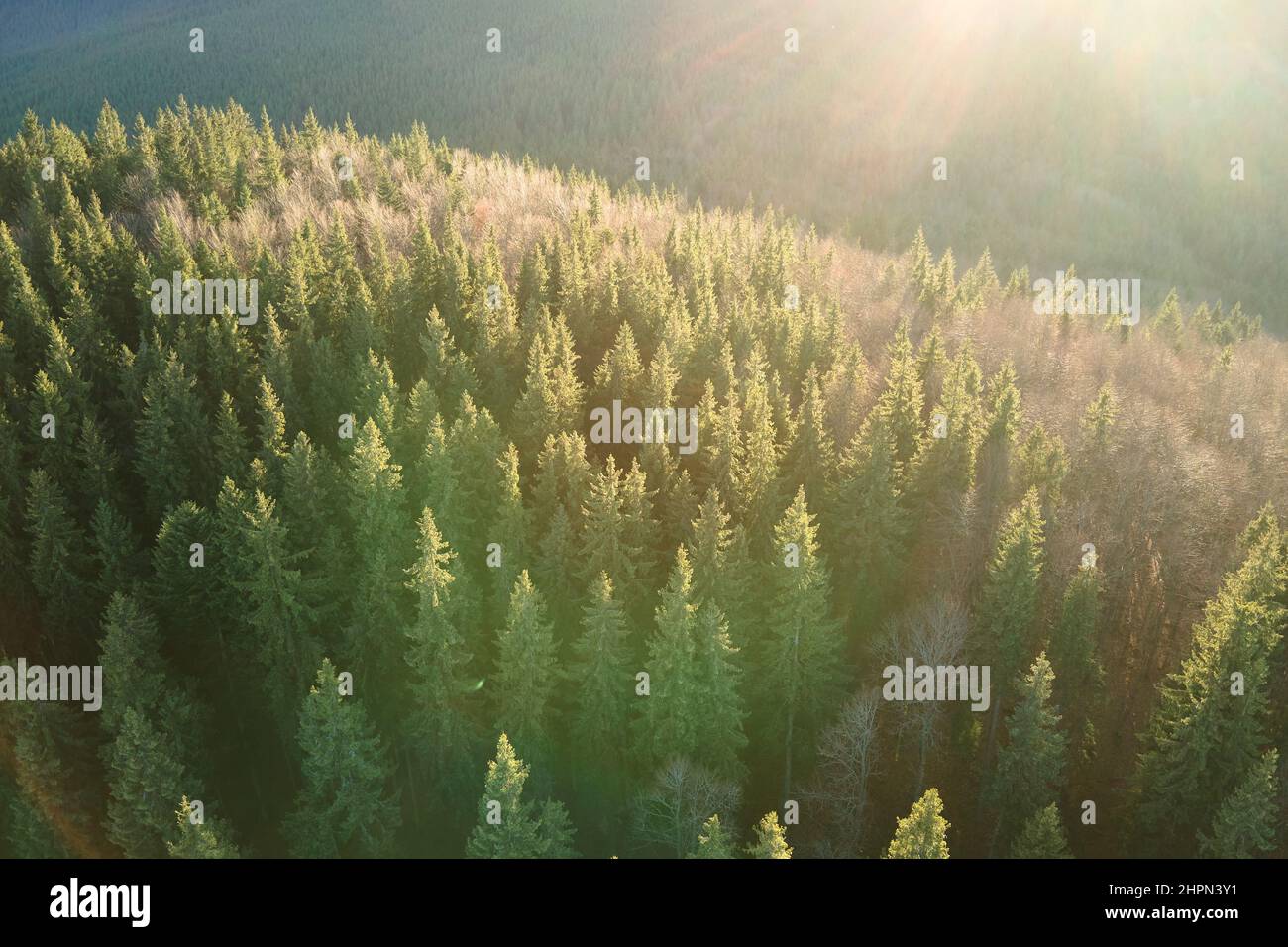 Aerial view of amazing scenery with light beams shining through foggy ...