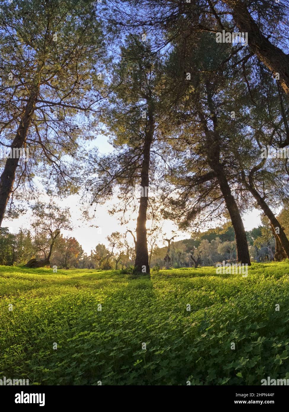 Bottom field hi-res stock photography and images - Alamy