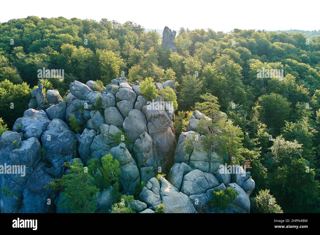 Aerial view of bright landscape with green forest trees and big rocky ...