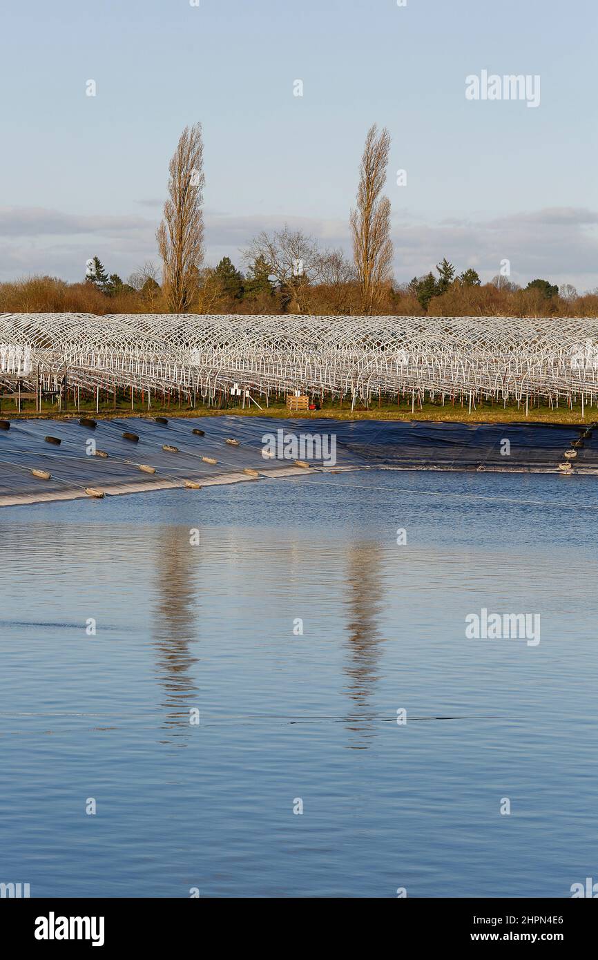 Tuesley Farm, Godalming. 22nd February 2022. A dry and bright day ...