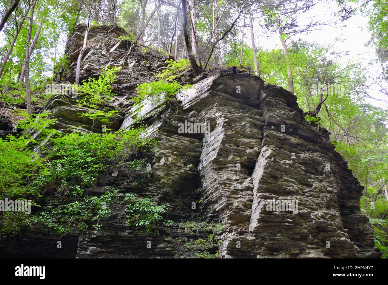 Top of limestone cliff with lush vegetation at Watkins Glen during ...