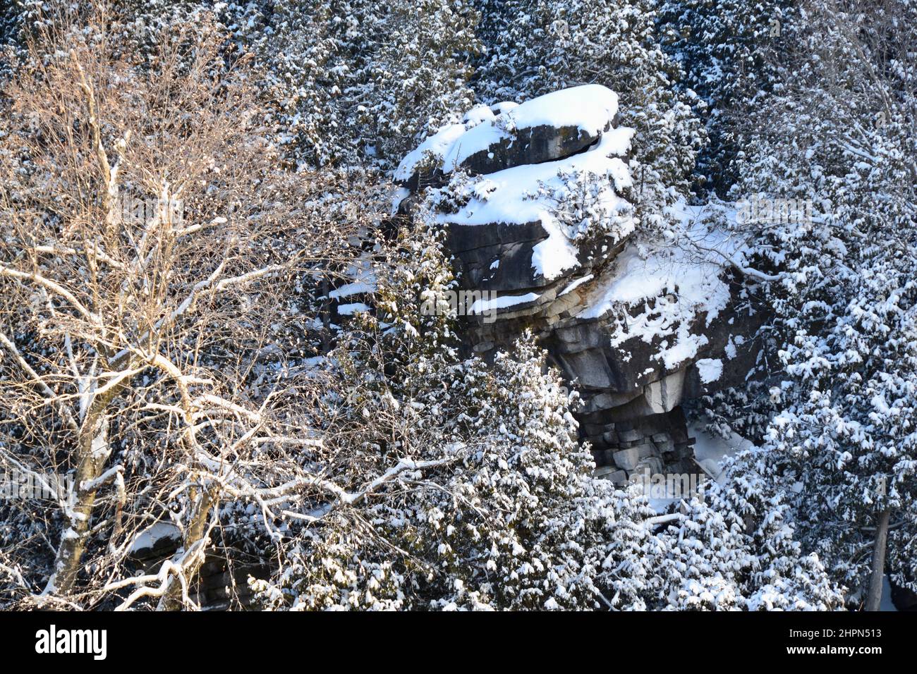 Fresh snowfall on limestone rock stack and forest at Inglis Falls ...