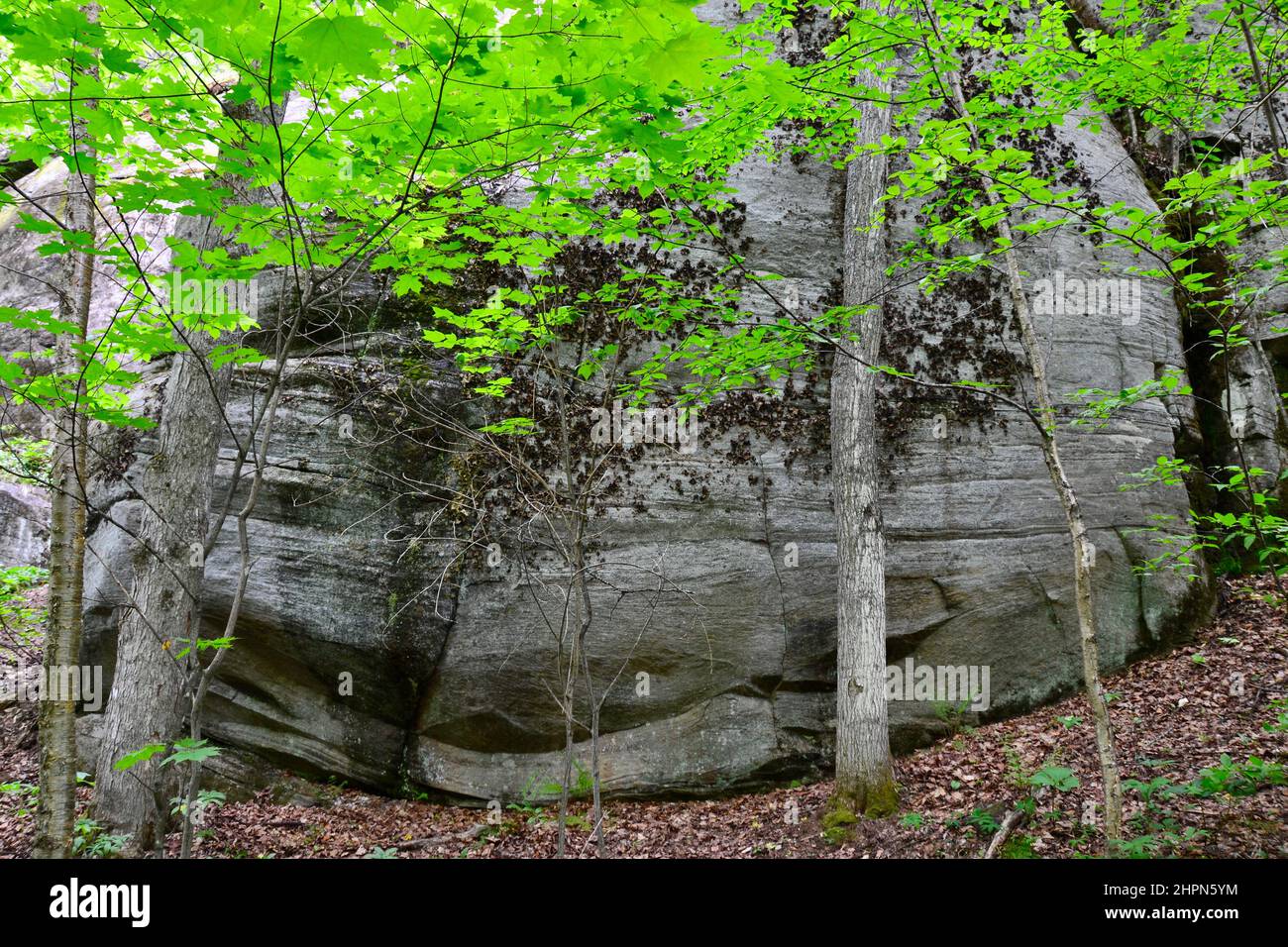 Huge boulder with distinctive banding patterns along hiking trail at ...
