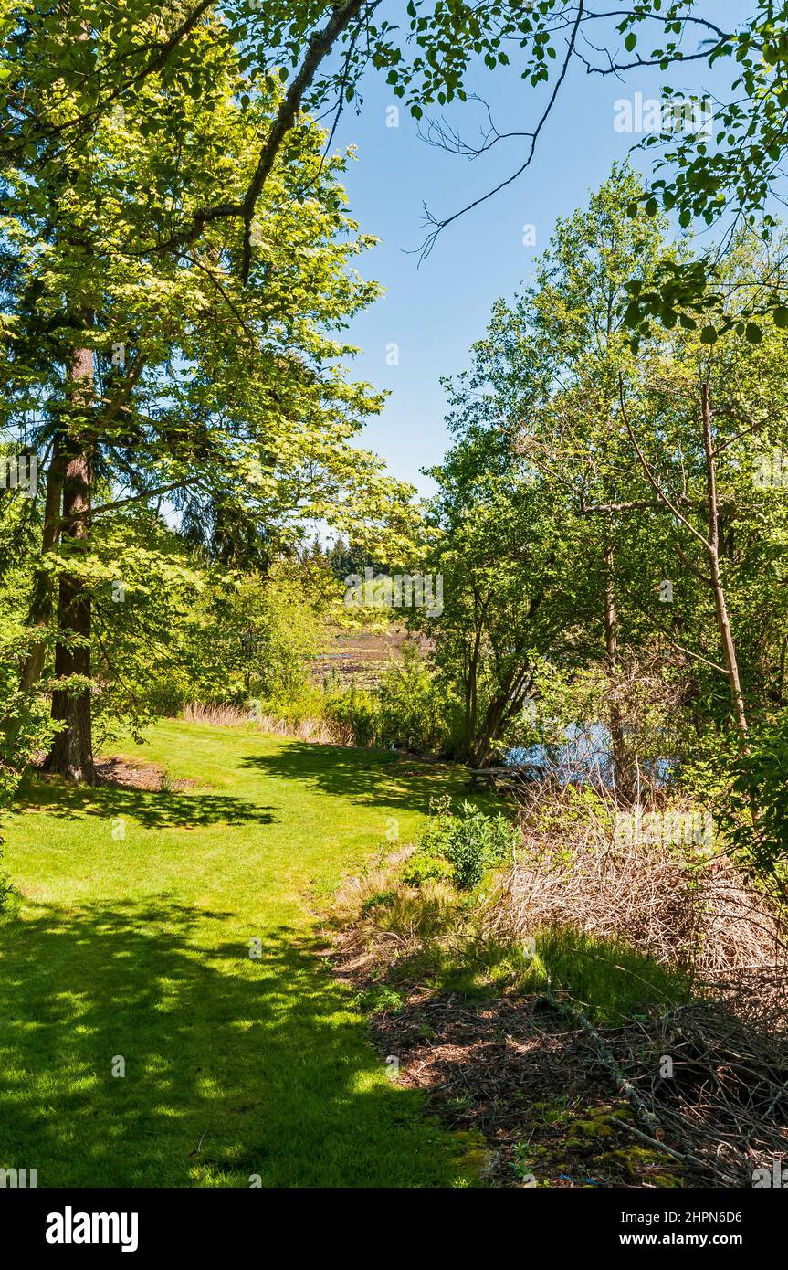 Surrounding area around Panther Lake in Kent, Washington Stock Photo ...