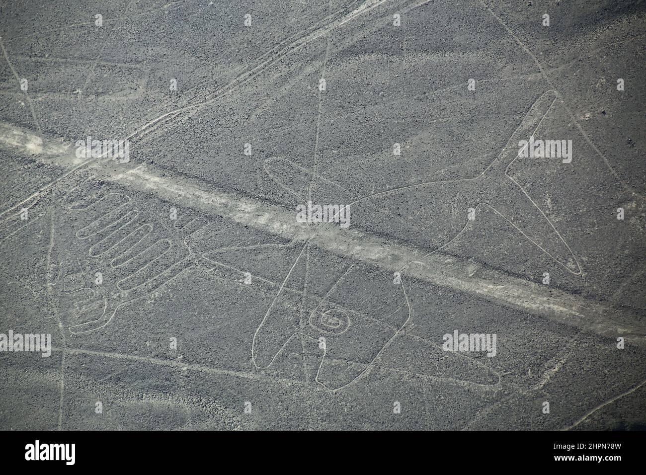 Aerial view of Nazca Lines - Whale geoglyph, Peru. The Lines were ...